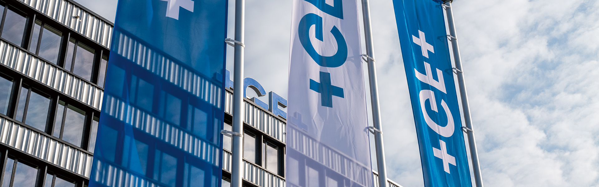 Sponsoring - Georg Fischer Ltd